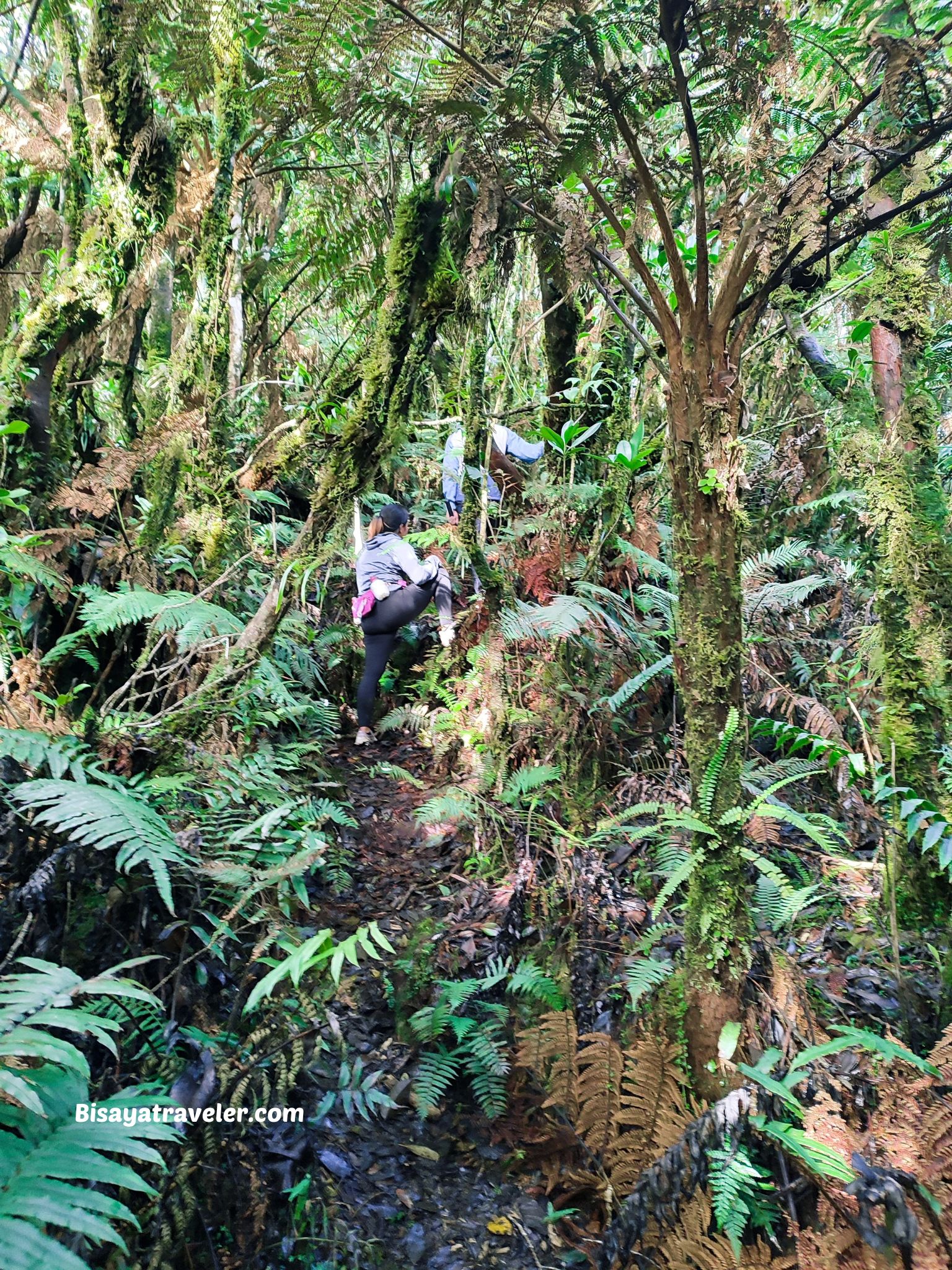 Mount Matutum And The Pathway To Happiness - The Bisaya Traveler