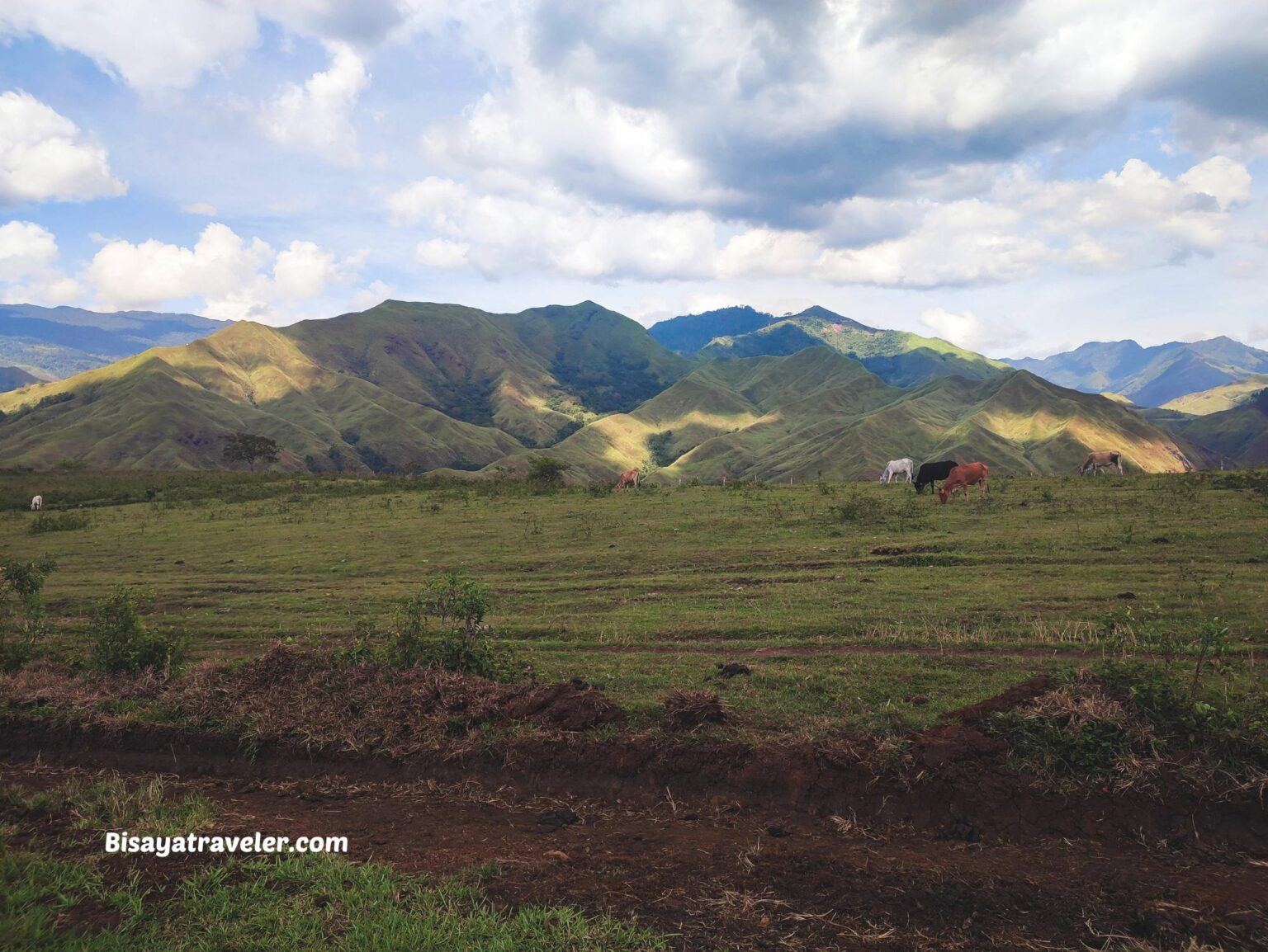 Mount Kulago: Where Dreams And Reality Merge - The Bisaya Traveler