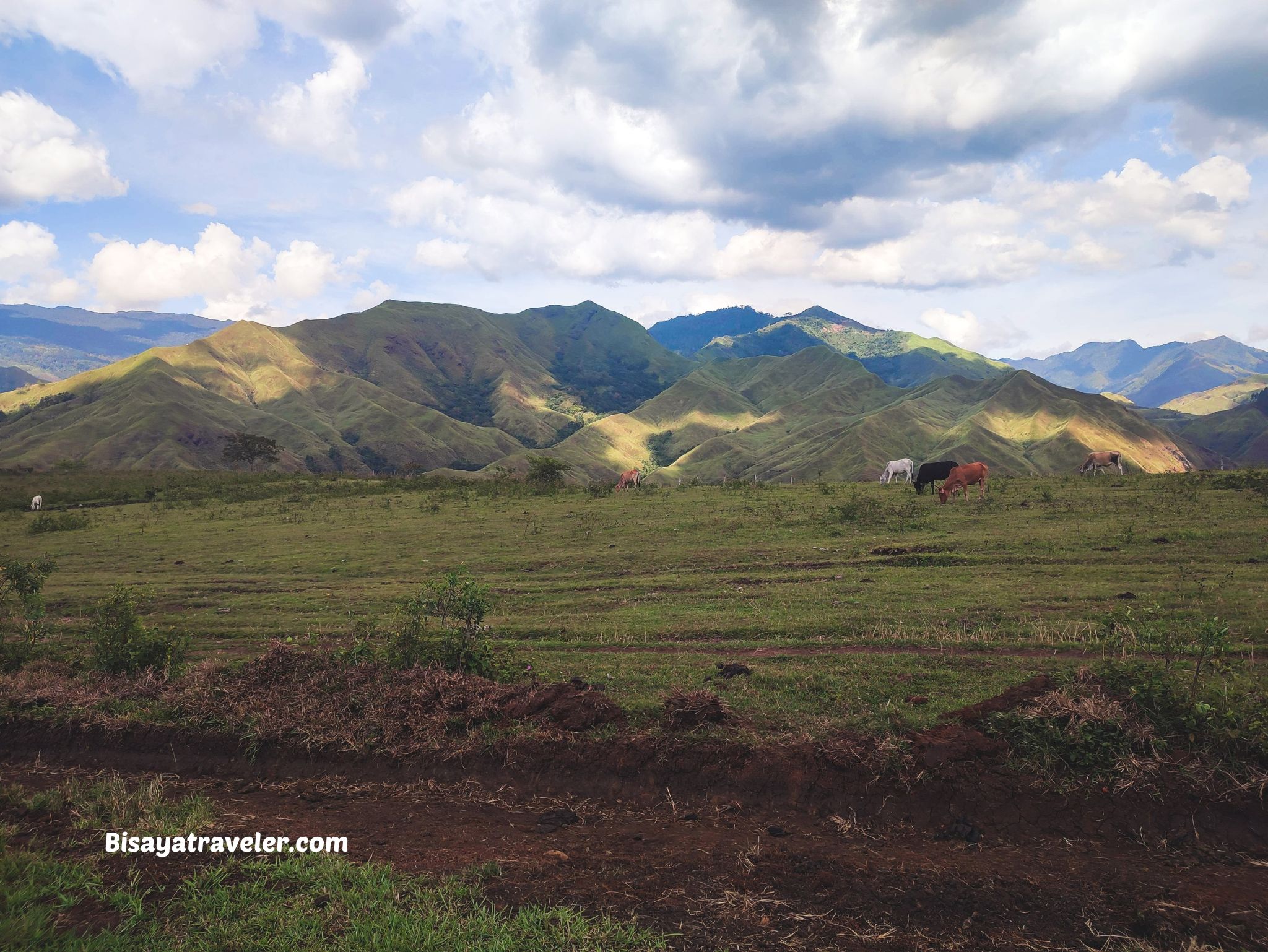 Mount Kulago: Where Dreams And Reality Merge - The Bisaya Traveler