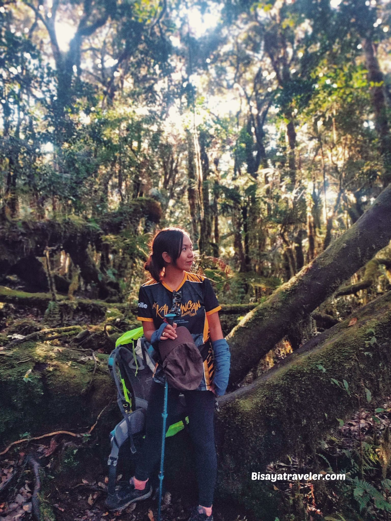 Mount Kalatungan: An Unforgettable Journey To The Chief Mountain - The ...