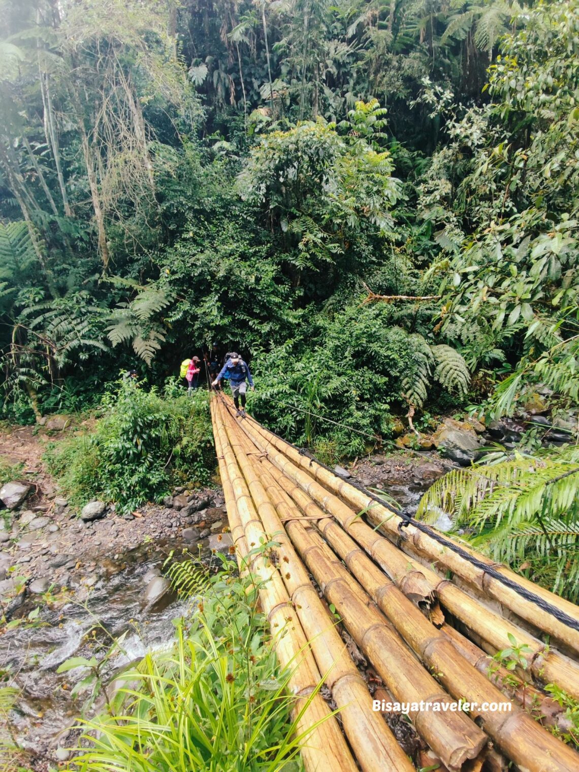 Mount Kalatungan: An Unforgettable Journey To The Chief Mountain - The ...
