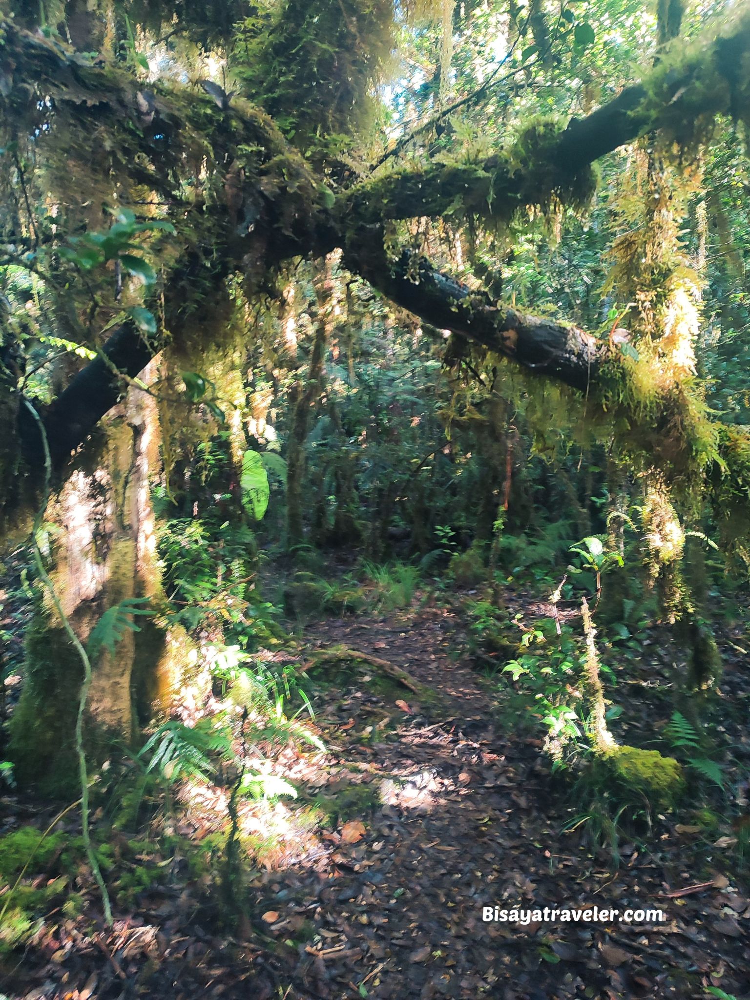 Mount Kalatungan: An Unforgettable Journey To The Chief Mountain - The ...