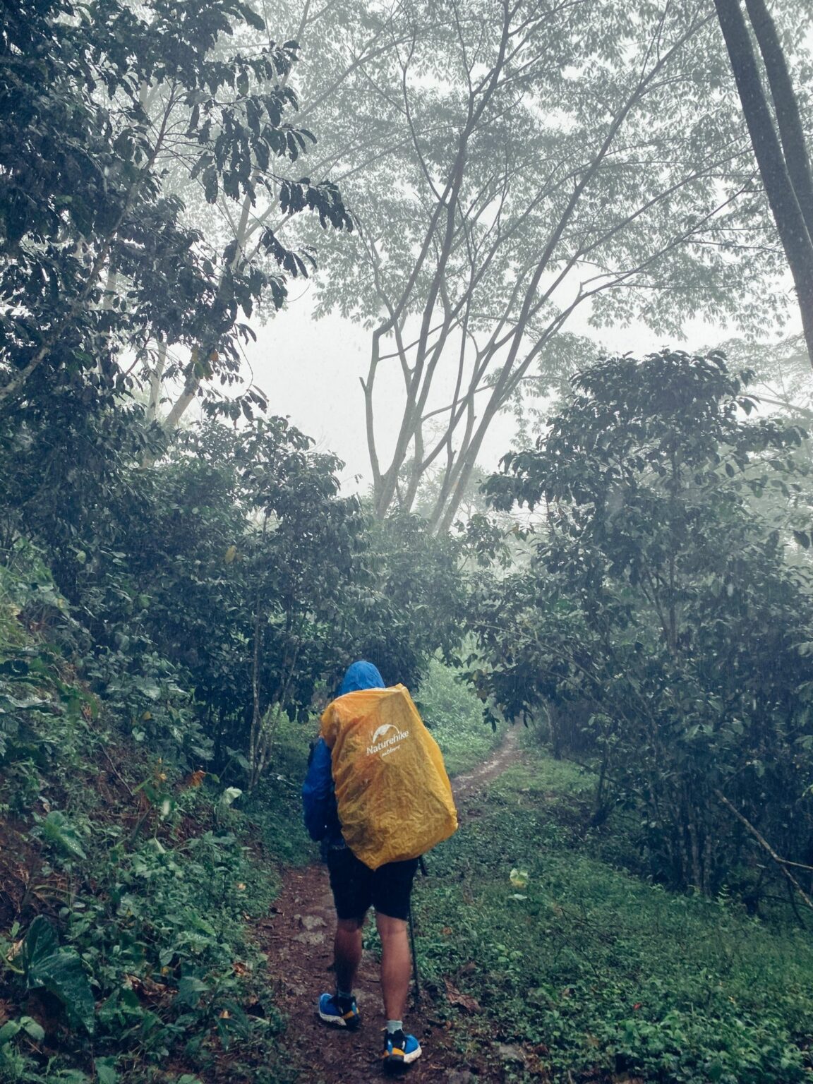 Mount Kalatungan: An Unforgettable Journey To The Chief Mountain - The ...