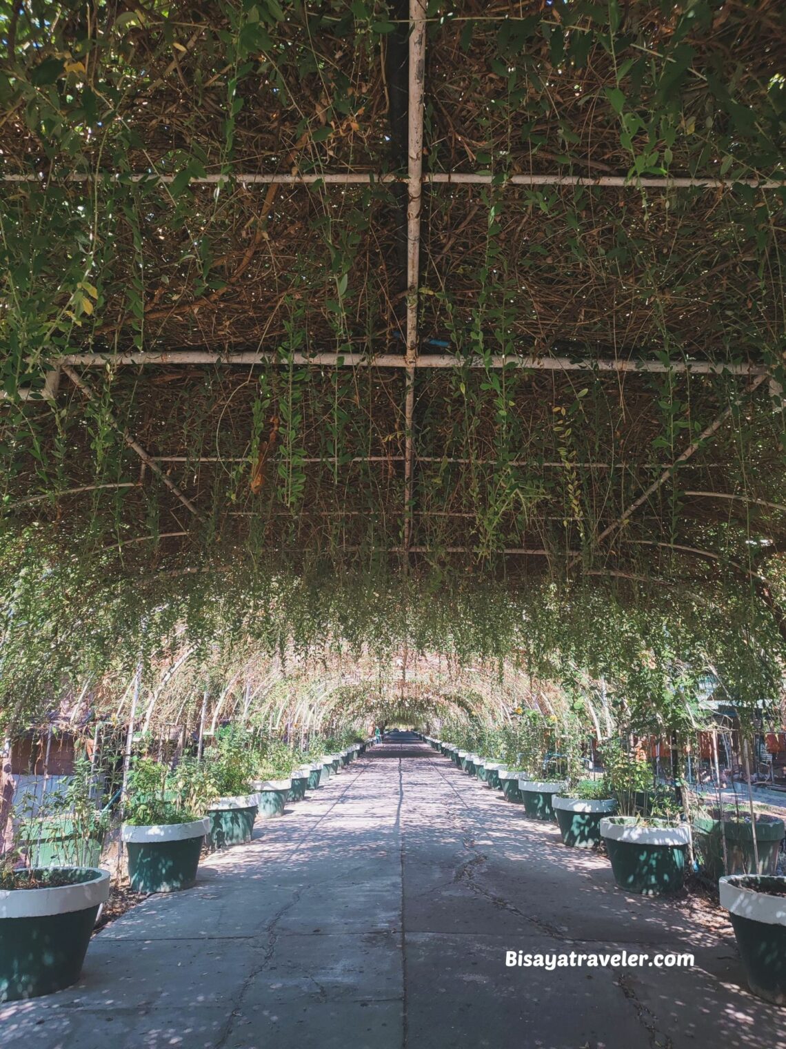 Garin Farm In Iloilo: What’s Life After Death? - The Bisaya Traveler