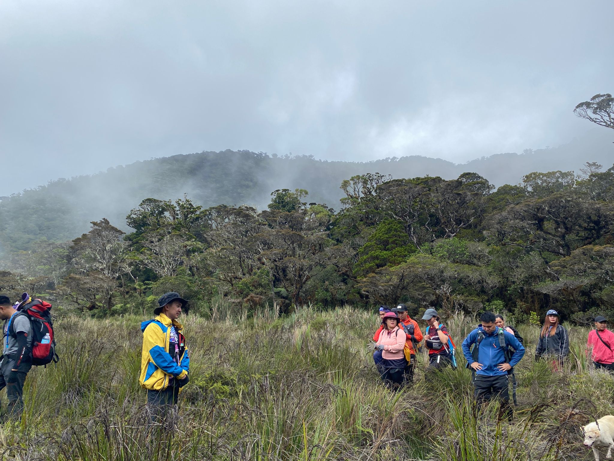 Mount Kalatungan: An Unforgettable Journey To The Chief Mountain - The ...