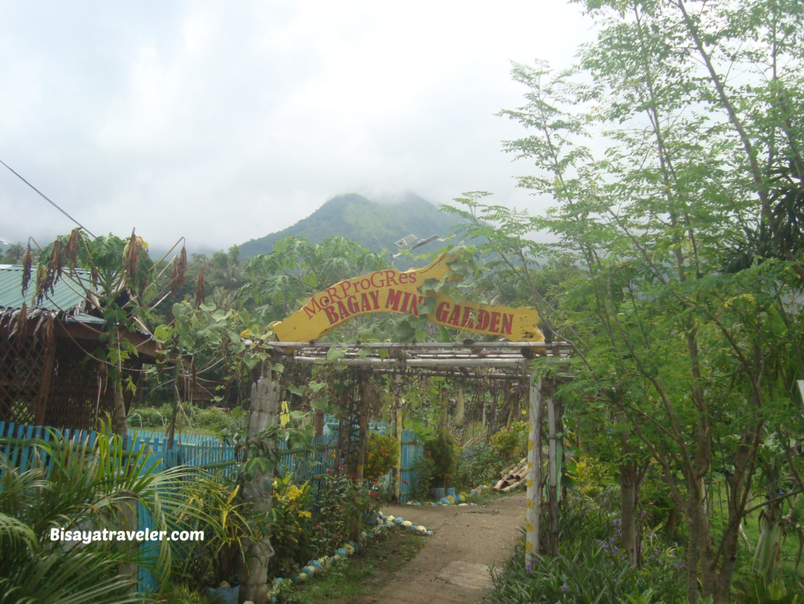 Mount Napulak: Lessons In Resilience From A “Minor” Hike - The Bisaya ...