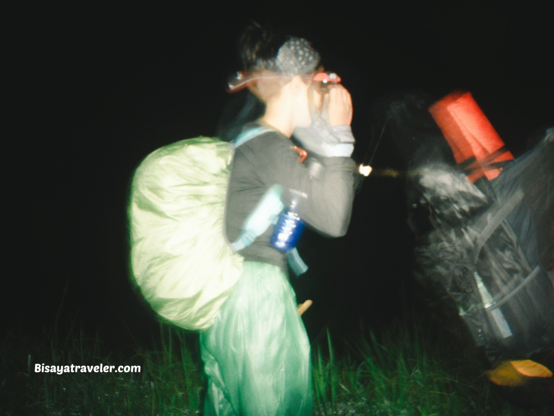 Mount Napulak: Lessons In Resilience From A “Minor” Hike - The Bisaya ...