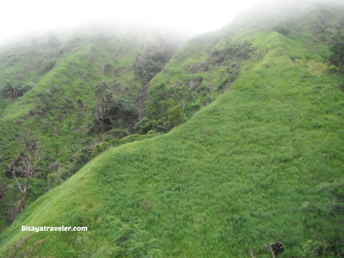 Mount Napulak: Lessons In Resilience From A “Minor” Hike - The Bisaya ...