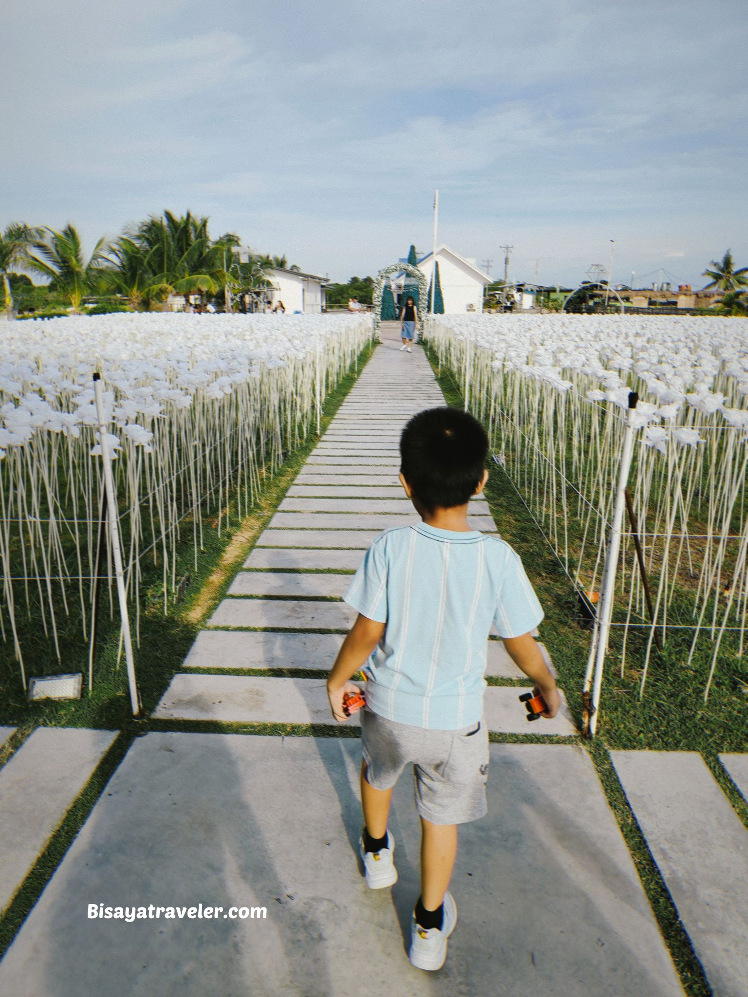 10,000 Roses: How Fake Flowers Led Me To Life’s Real Treasures - The ...