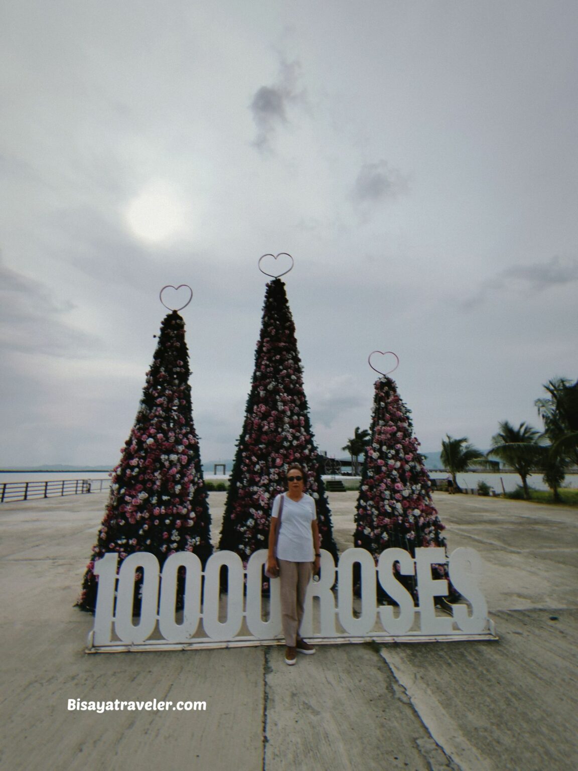 10,000 Roses: How Fake Flowers Led Me To Life’s Real Treasures - The ...