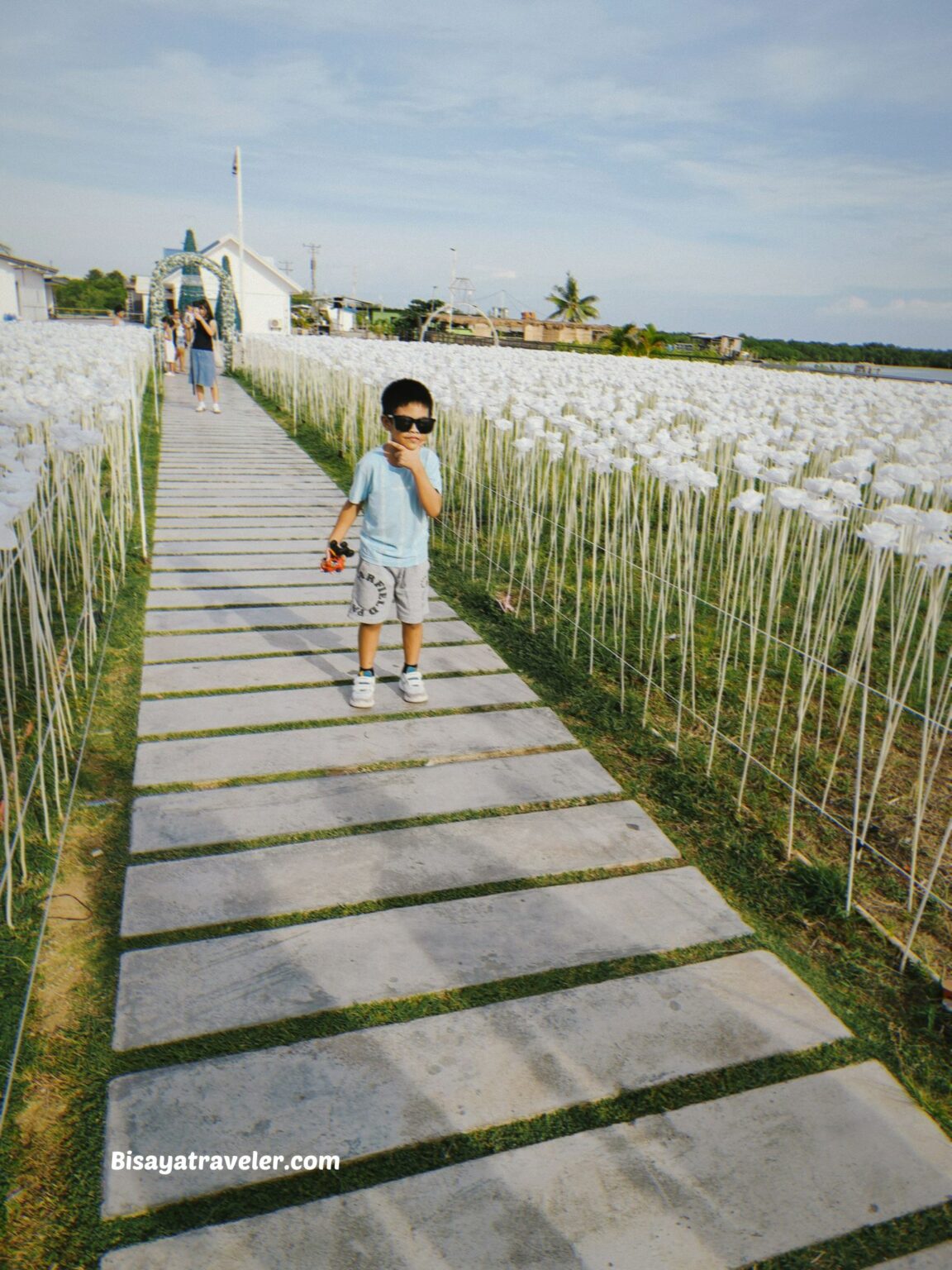 10,000 Roses: How Fake Flowers Led Me To Life’s Real Treasures - The ...