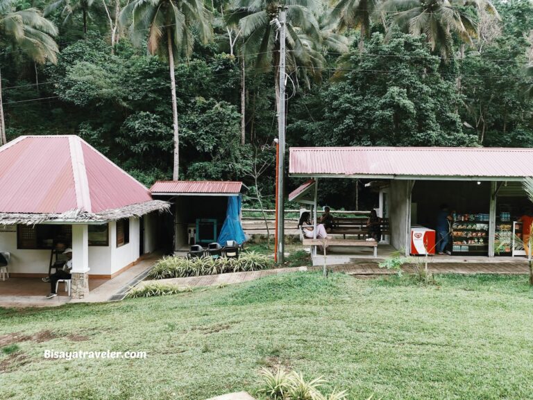 Quitinday Hills And Nature Park: The Beauty Of An Average Life - The ...