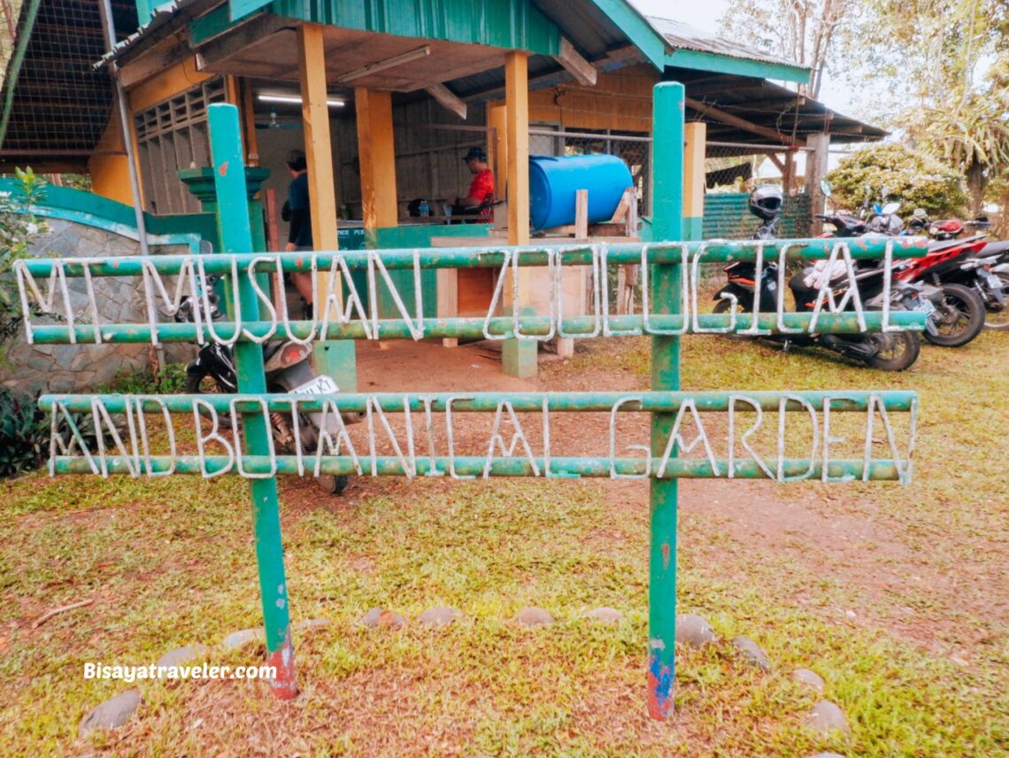 Musuan Peak: The Humble Volcano That Secretly Teaches Why Change Is ...