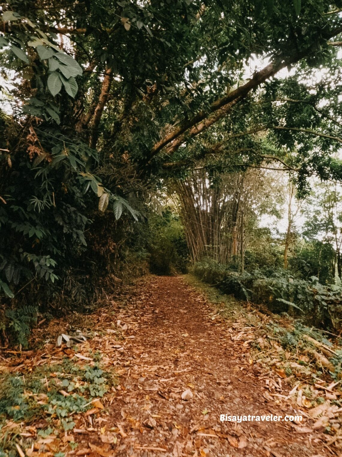 Musuan Peak: The Humble Volcano That Secretly Teaches Why Change Is ...