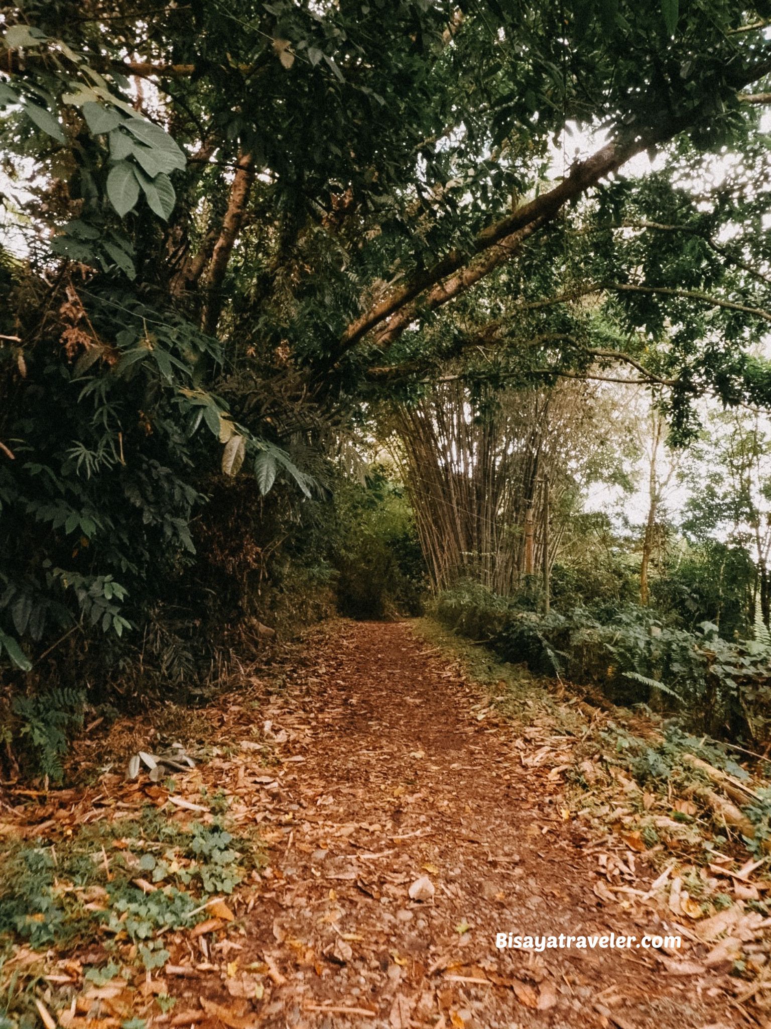 Musuan Peak: The Humble Volcano That Secretly Teaches Why Change Is ...