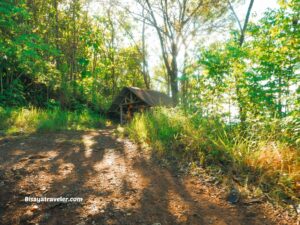 Musuan Peak: The Humble Volcano That Secretly Teaches Why Change Is ...