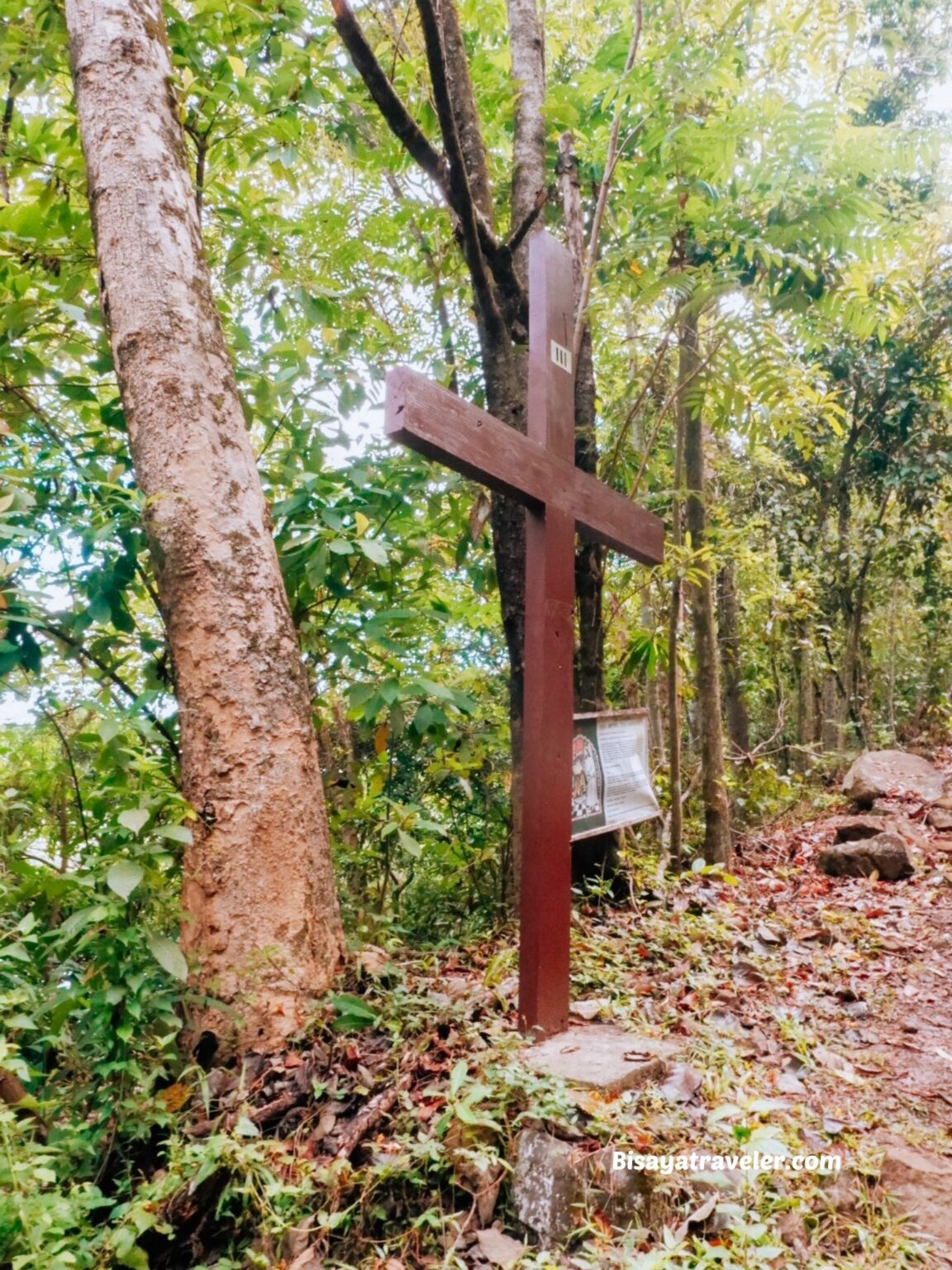 Musuan Peak: The Humble Volcano That Secretly Teaches Why Change Is ...