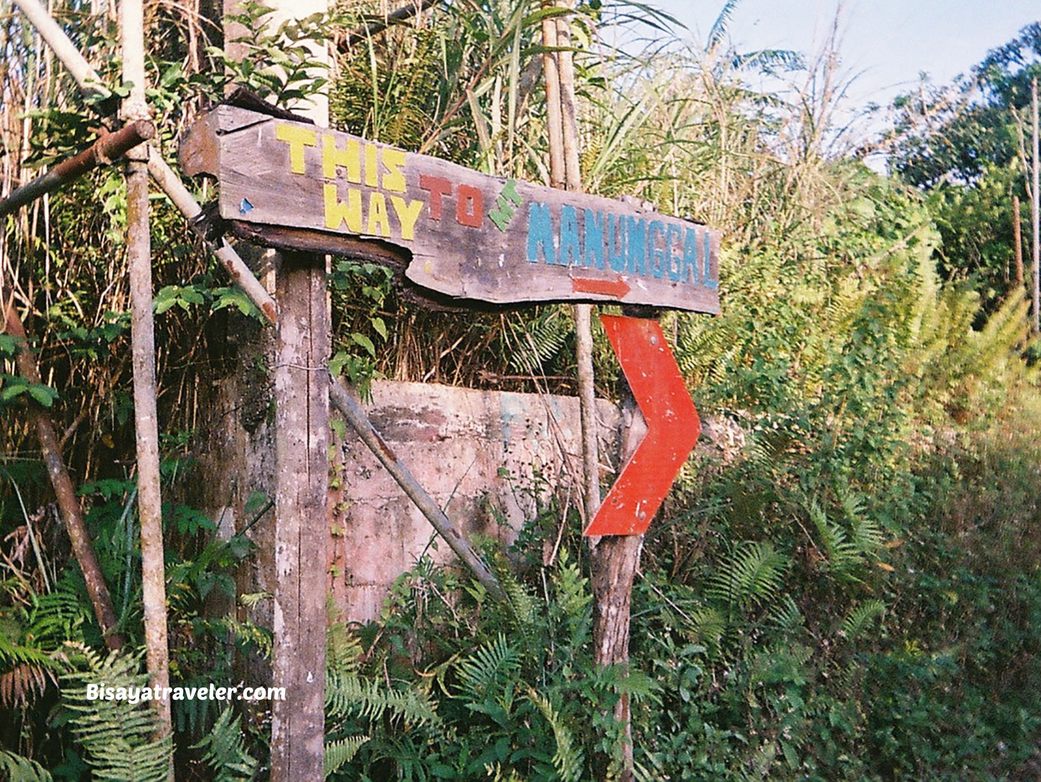 Mount Manunggal: Why Getting Lost Is Never A Waste Of Time - The Bisaya ...