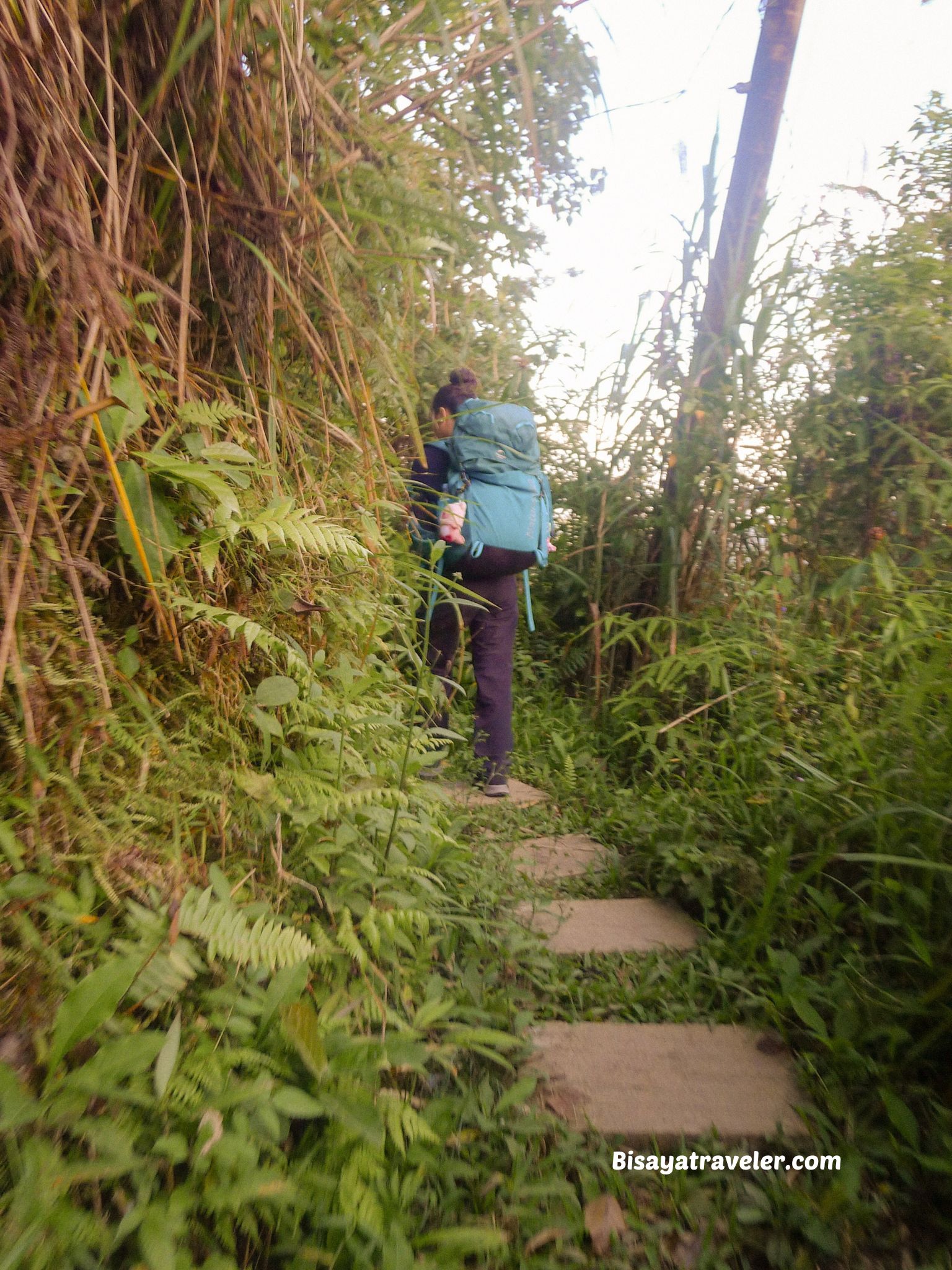Mount Manunggal: Why Getting Lost Is Never A Waste Of Time - The Bisaya ...