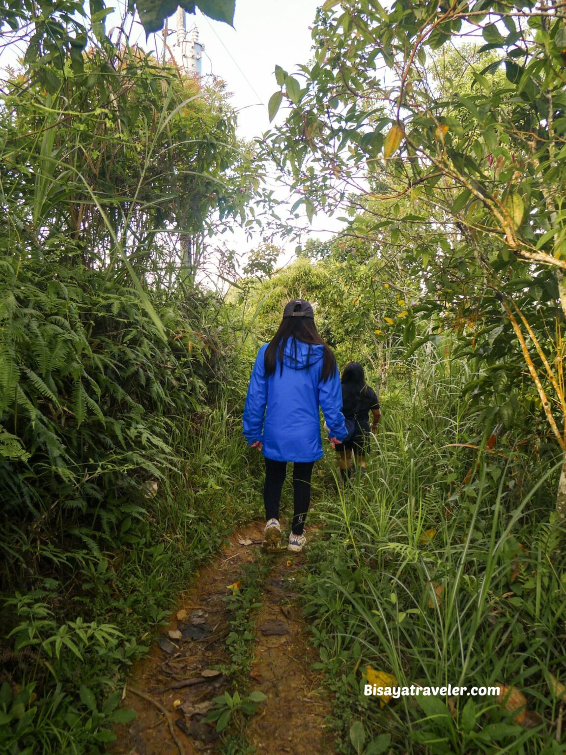 Mount Manunggal: Why Getting Lost Is Never A Waste Of Time - The Bisaya ...