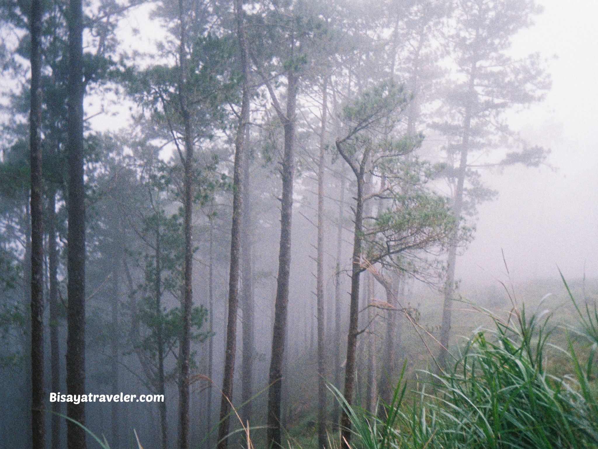 Mount Purgatory And The 6 Strangers We Meet In The Mountains - The ...