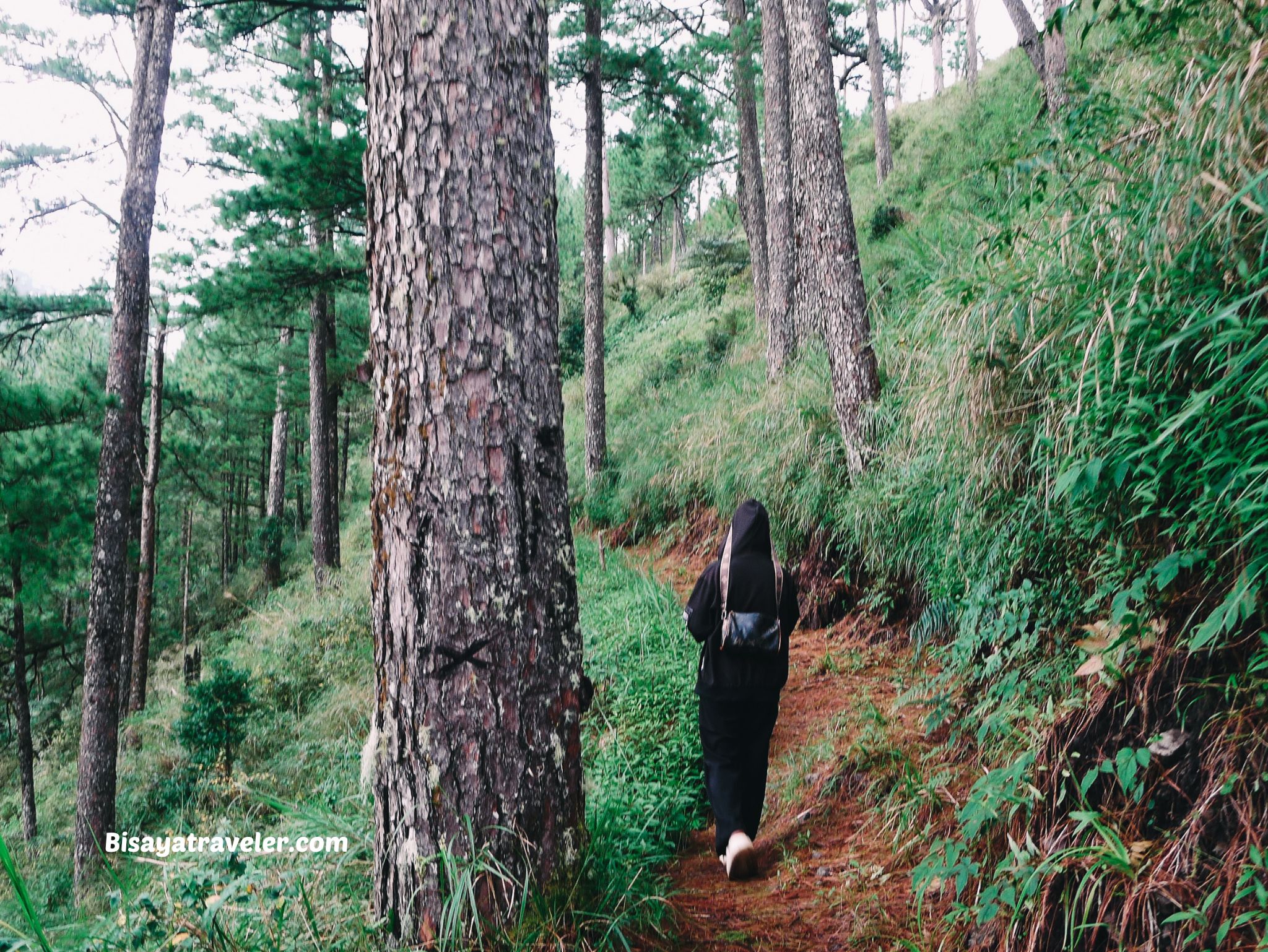 Mount Purgatory And The 6 Strangers We Meet In The Mountains - The ...